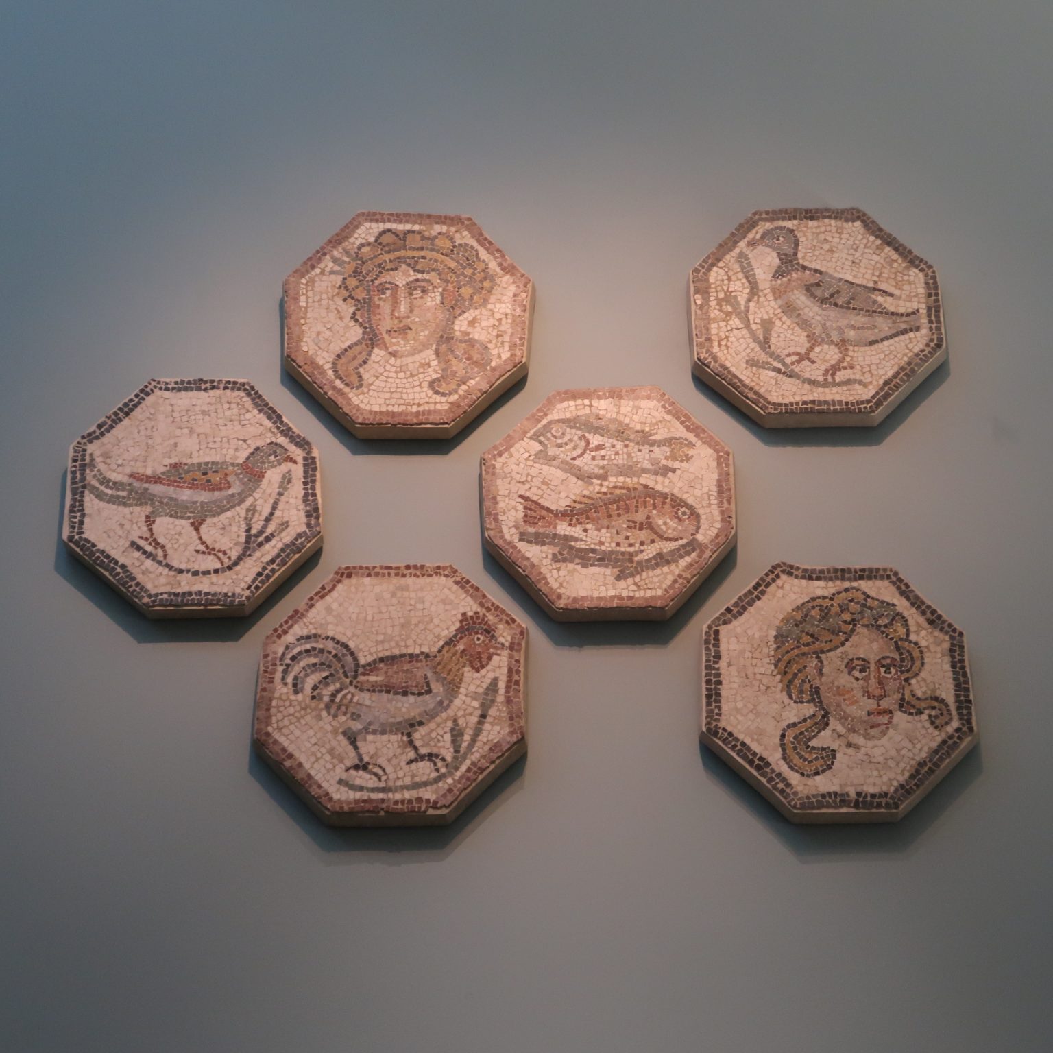 Mudchute Farm - Backyard Poultry